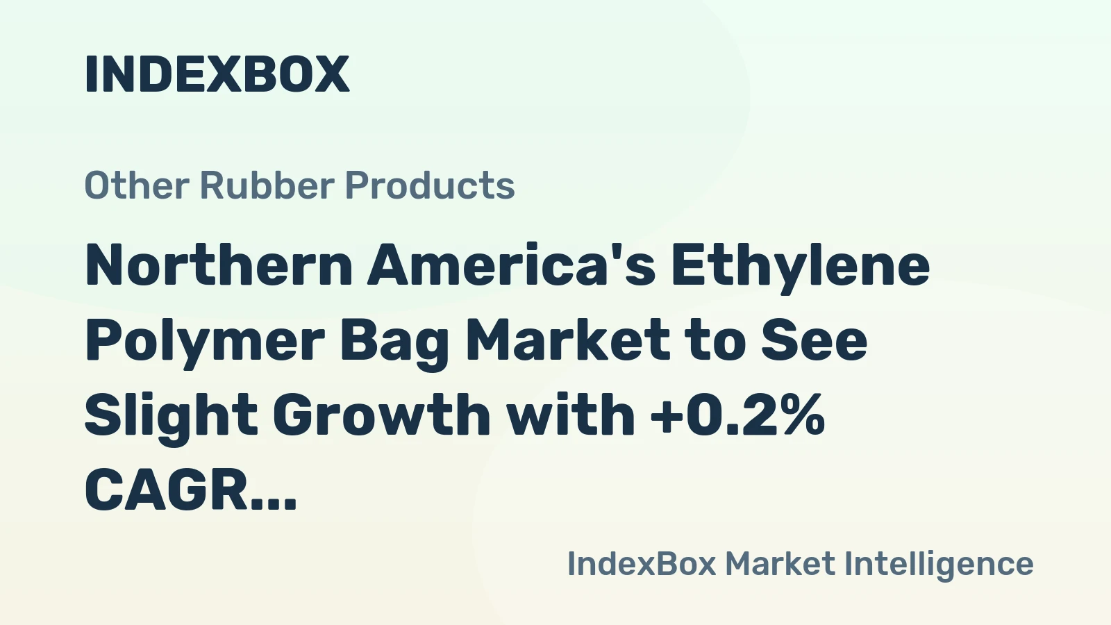 Northern America's Ethylene Polymer Bag Market to See Slight Growth with +0.2% CAGR from 2024 to 2035