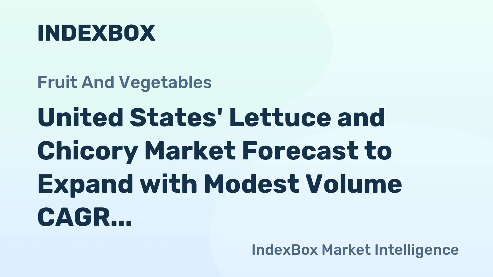 United States' Lettuce and Chicory Market Forecast to Expand with Modest Volume CAGR of +0.6% Through 2035