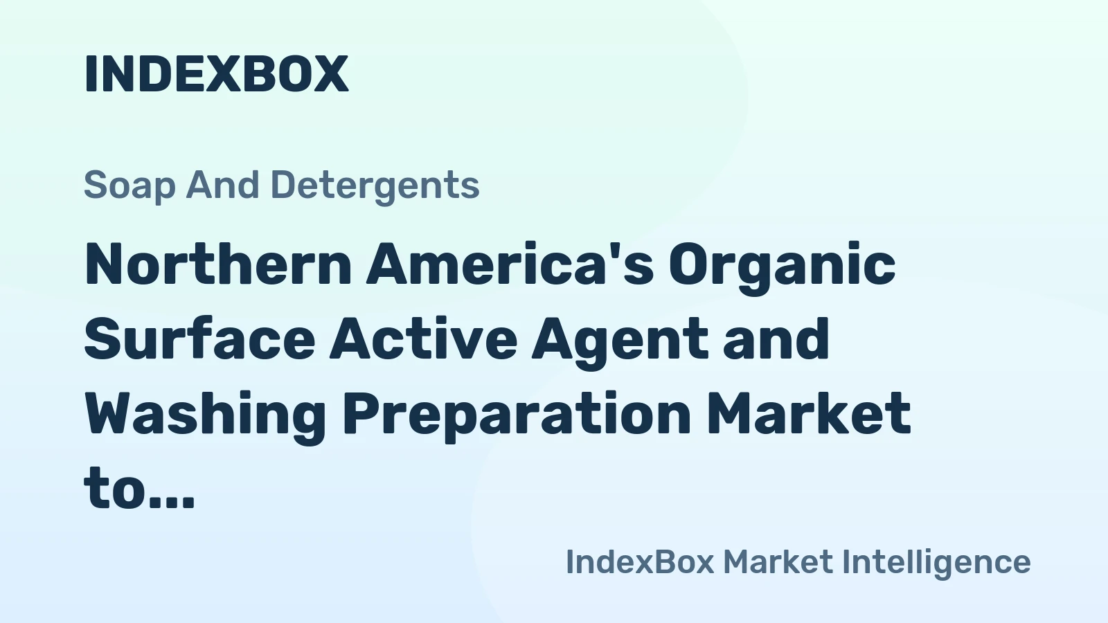 Northern America's Organic Surface Active Agent and Washing Preparation Market to Witness Slow Growth with CAGR of +0.4% from 2024 to 2035