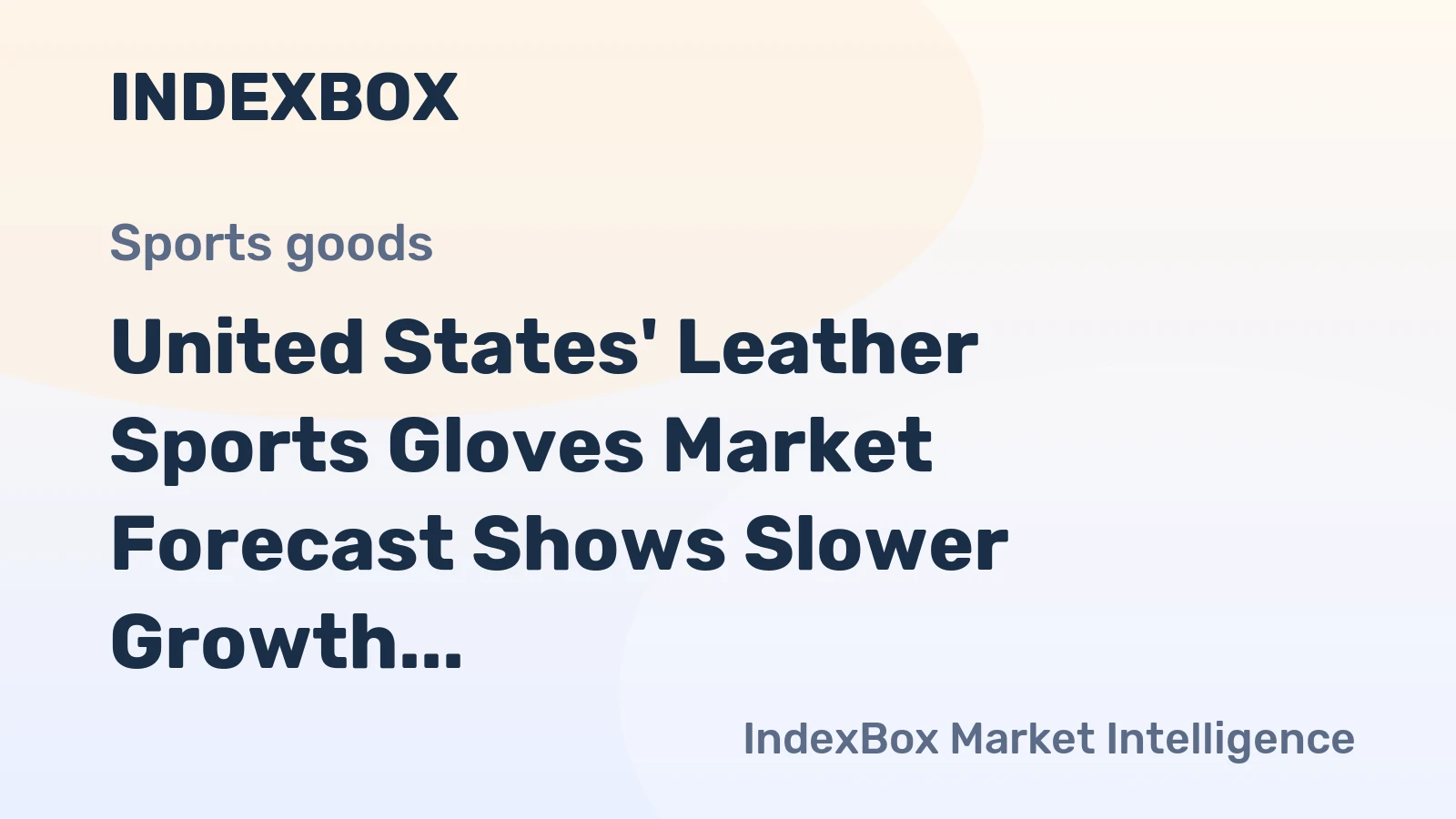 United States' Leather Sports Gloves Market Forecast Shows Slower Growth With a 22% Value CAGR