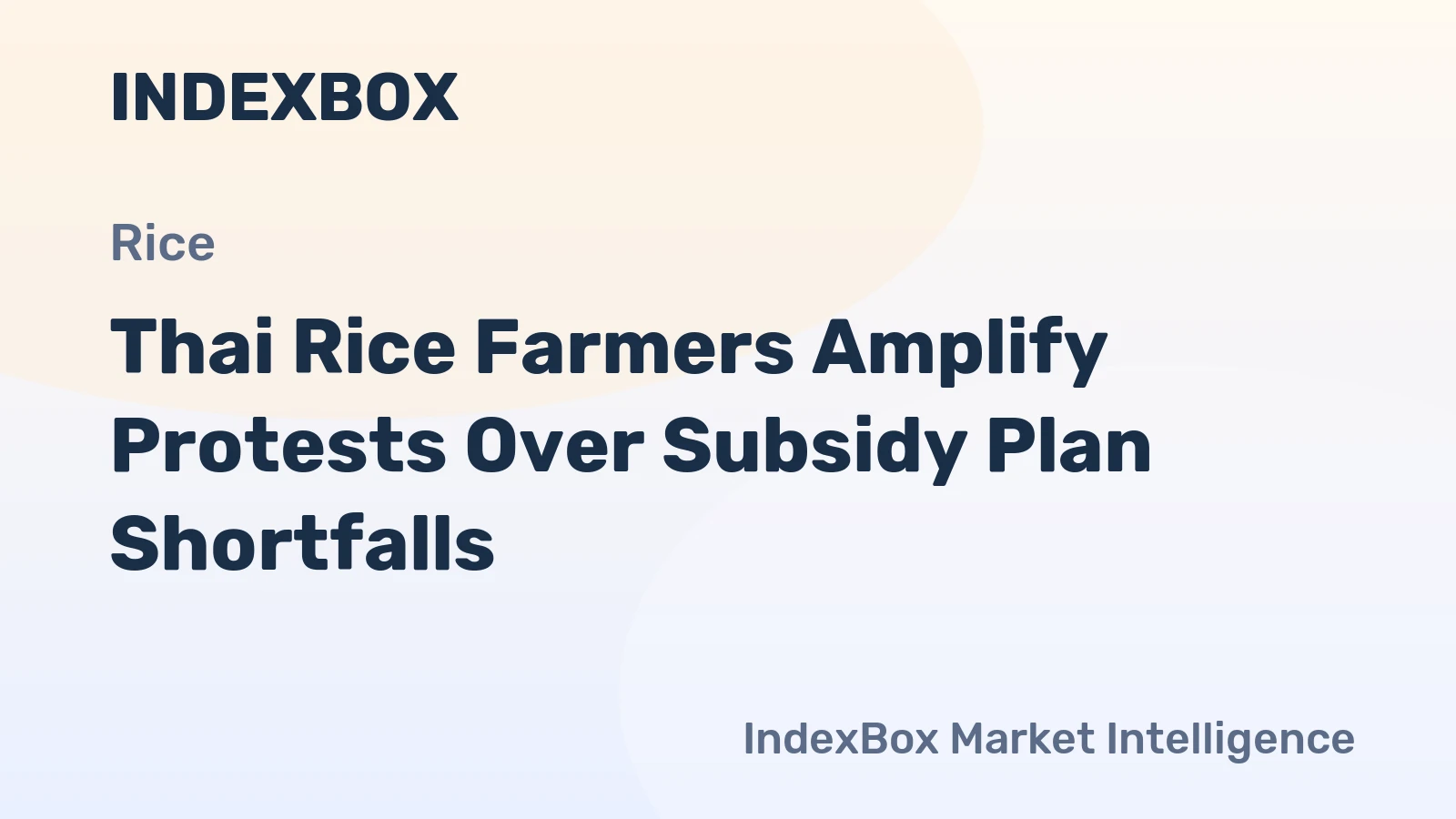 Thai Rice Farmers Amplify Protests Over Subsidy Plan Shortfalls
