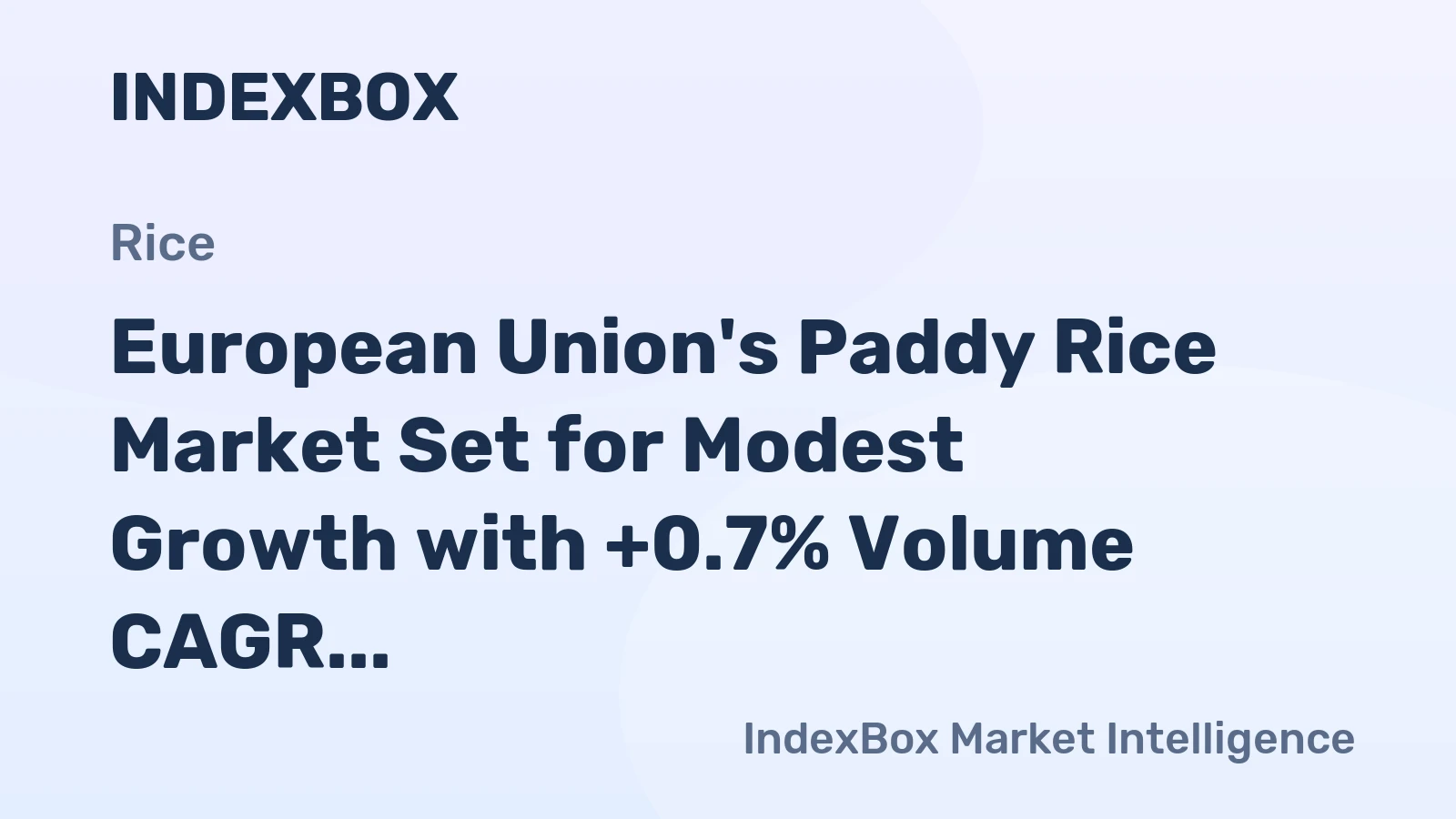 European Union's Paddy Rice Market Set for Modest Growth with +0.7% Volume CAGR Through 2035