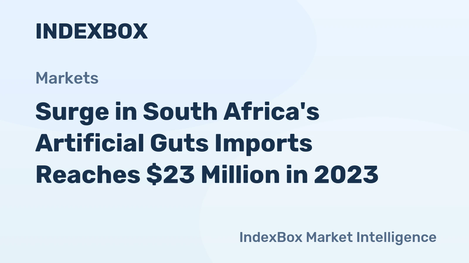 Surge in South Africa's Artificial Guts Imports Reaches $23 Million in 2023