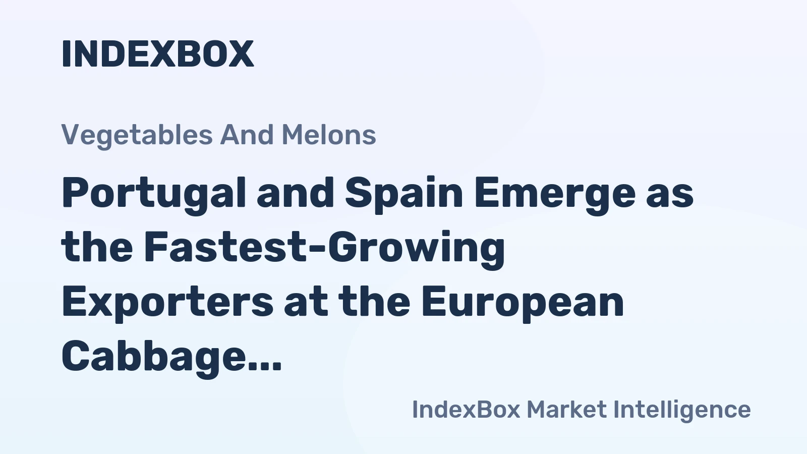 Portugal and Spain Emerge as the Fastest-Growing Exporters at the European Cabbage Market 
