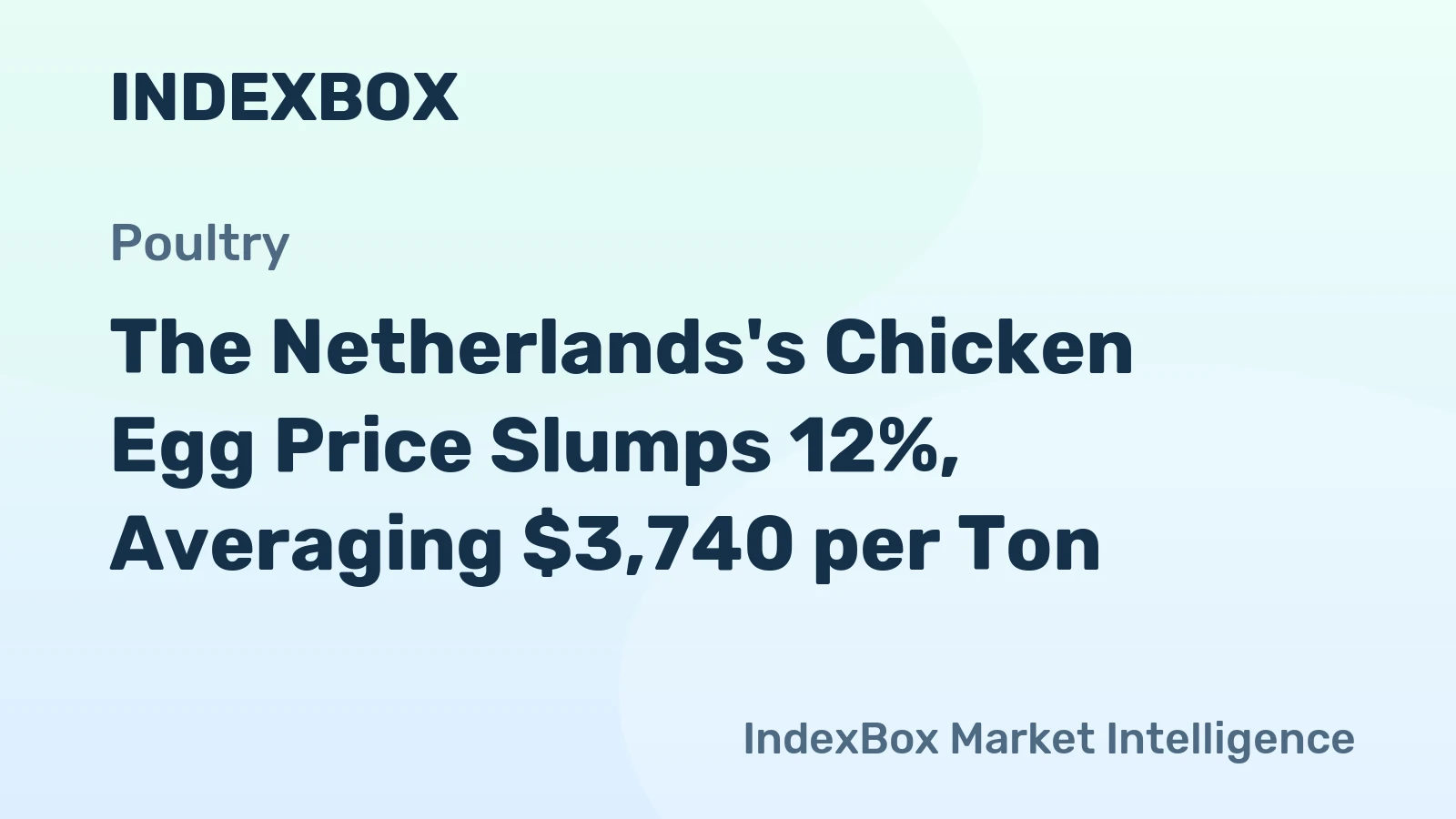 The Netherlands's Chicken Egg Price Slumps 12%, Averaging $3,740 per Ton