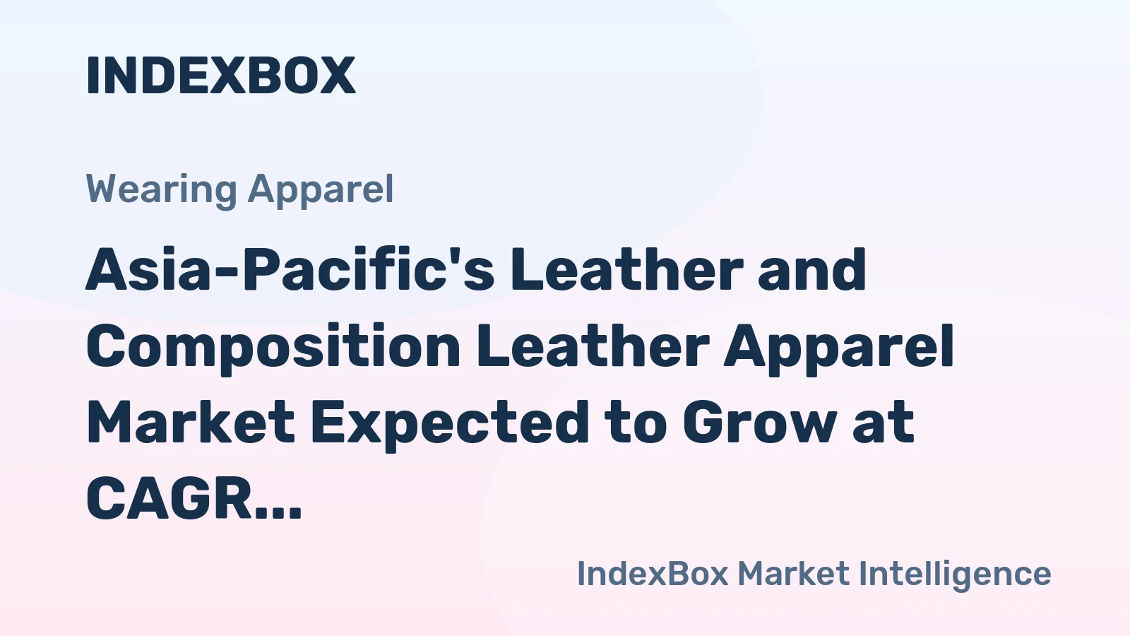Asia-Pacific's Leather and Composition Leather Apparel Market Expected to Grow at CAGR of +2.7% Over Next Decade