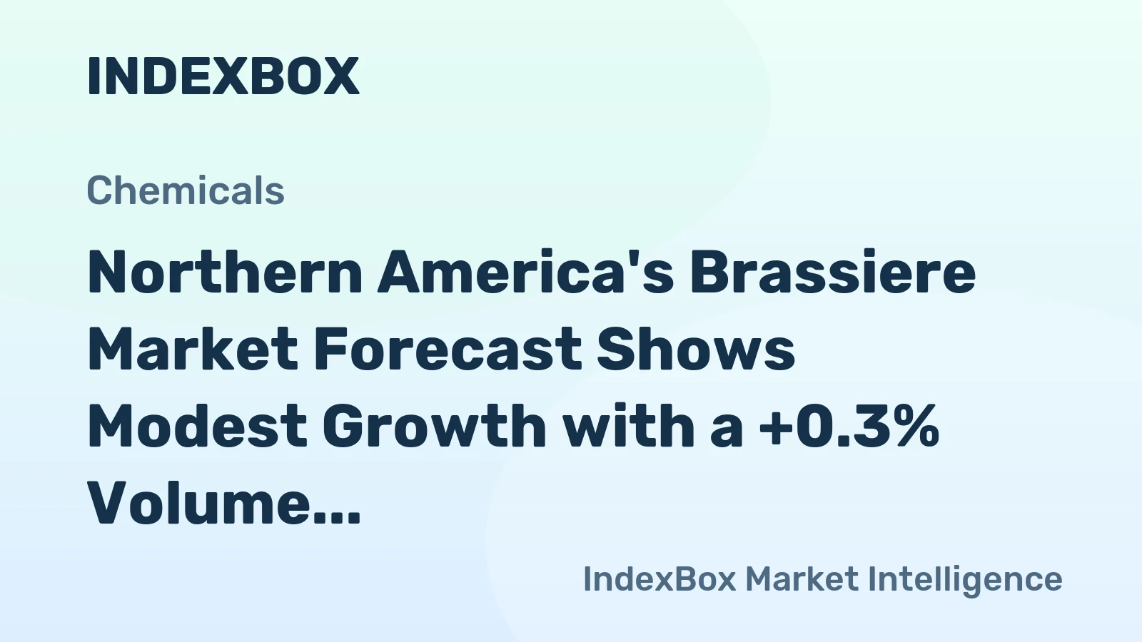 Northern America's Brassiere Market Forecast Shows Modest Growth with a +0.3% Volume CAGR