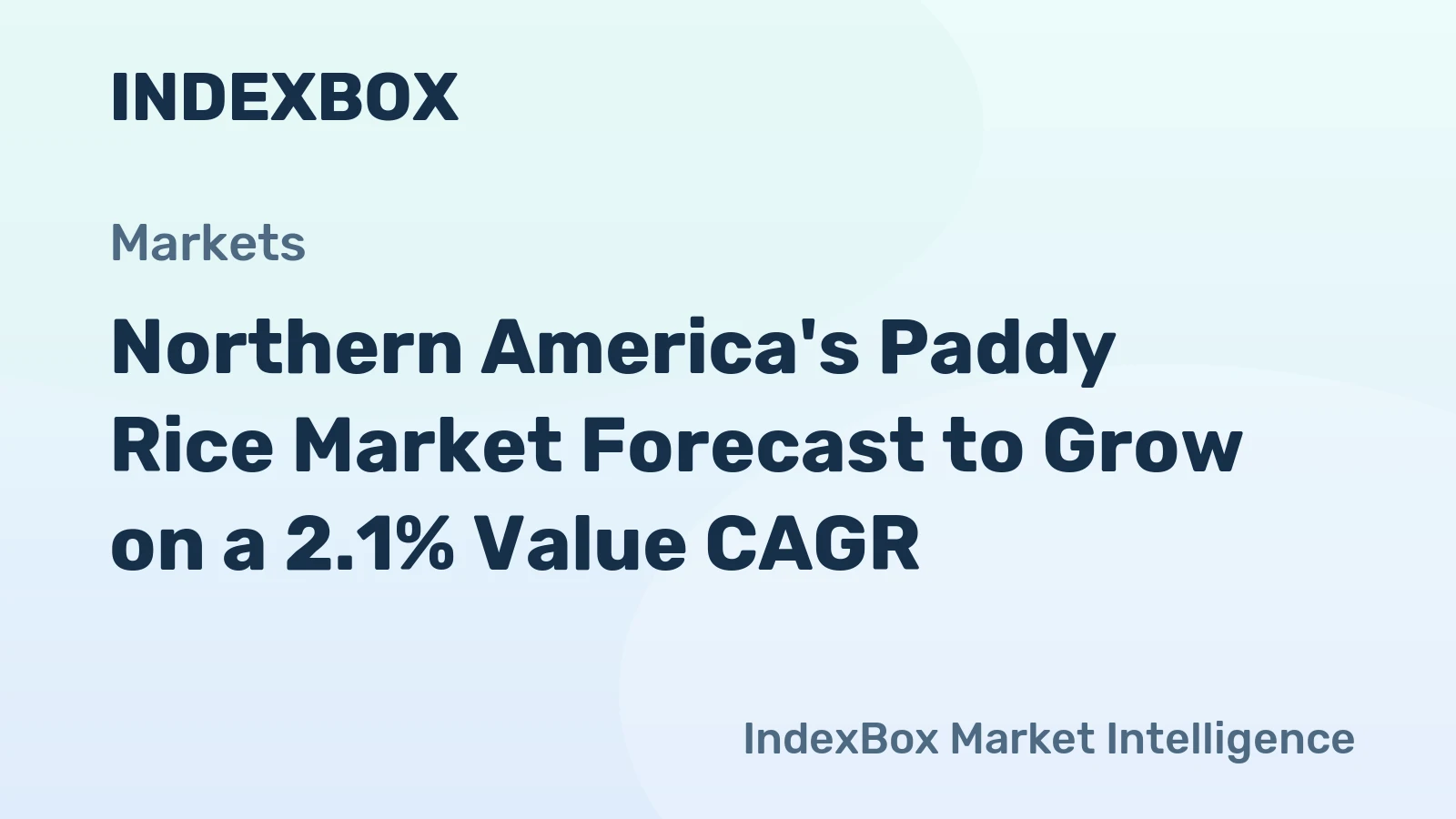 Northern America's Paddy Rice Market Forecast to Grow on a 2.1% Value CAGR