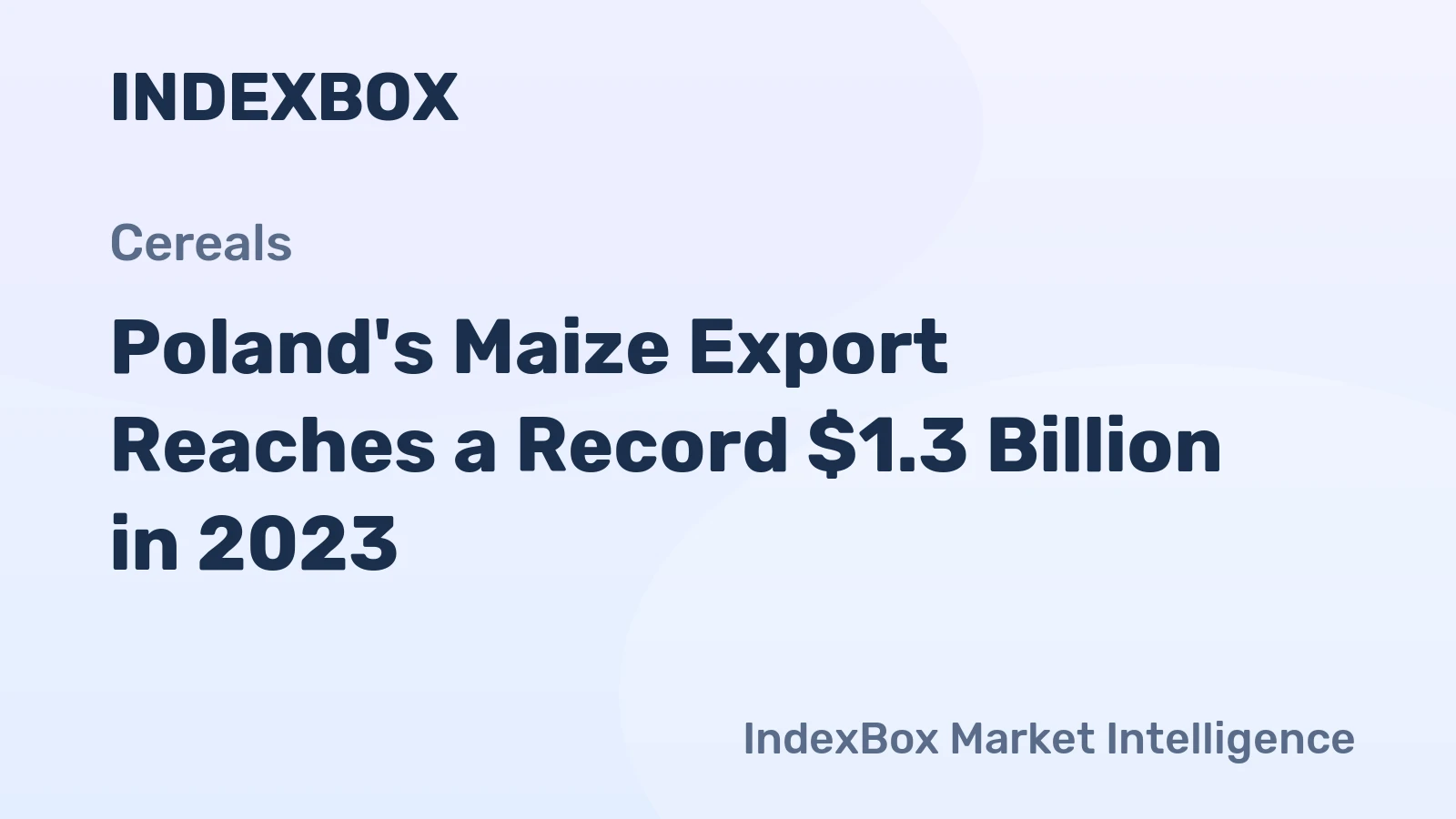 Poland's Maize Export Reaches a Record $1.3 Billion in 2023