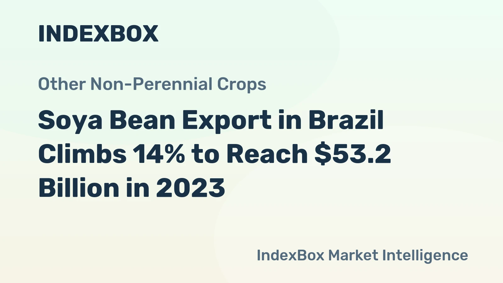 Soya Bean Export in Brazil Climbs 14% to Reach $53.2 Billion in 2023