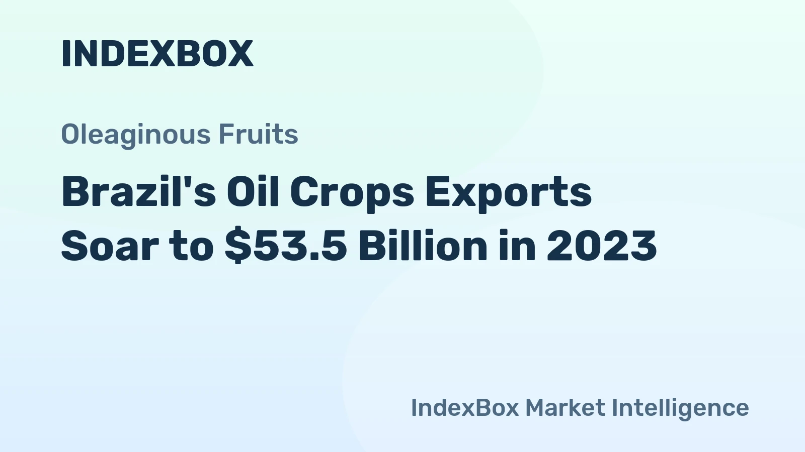 Brazil's Oil Crops Exports Soar to $53.5 Billion in 2023