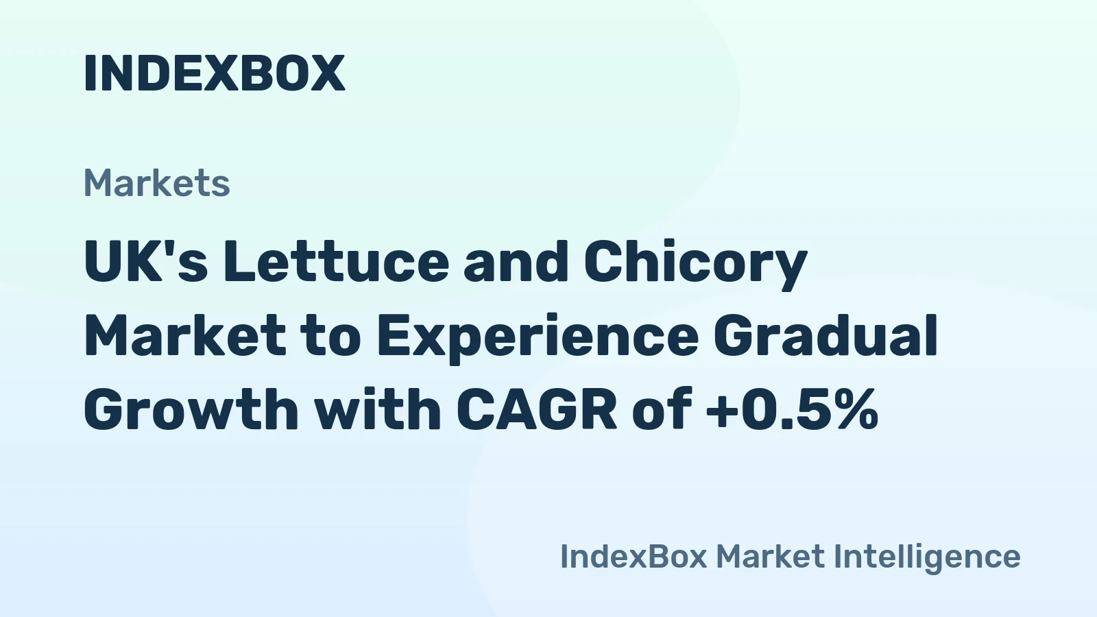 UK's Lettuce and Chicory Market to Experience Gradual Growth with CAGR of +0.5%
