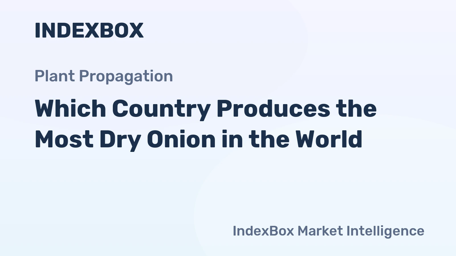 Which Country Produces the Most Dry Onion in the World?