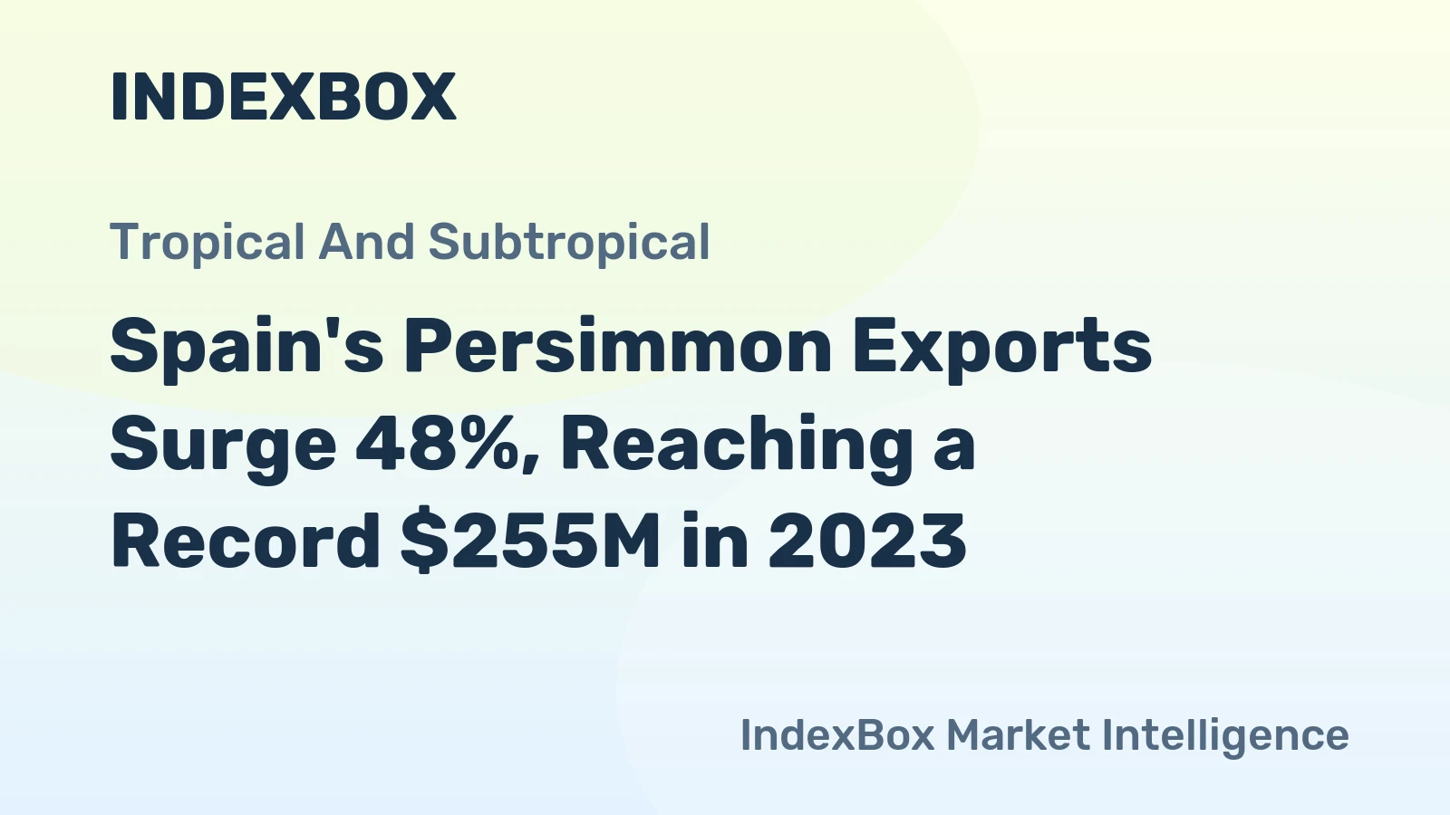 Spain's Persimmon Exports Surge 48%, Reaching a Record $255M in 2023