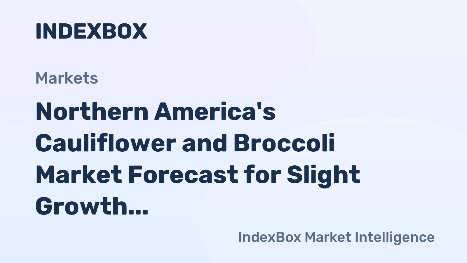 Northern America's Cauliflower and Broccoli Market Forecast for Slight Growth With a +0.8% Volume CAGR