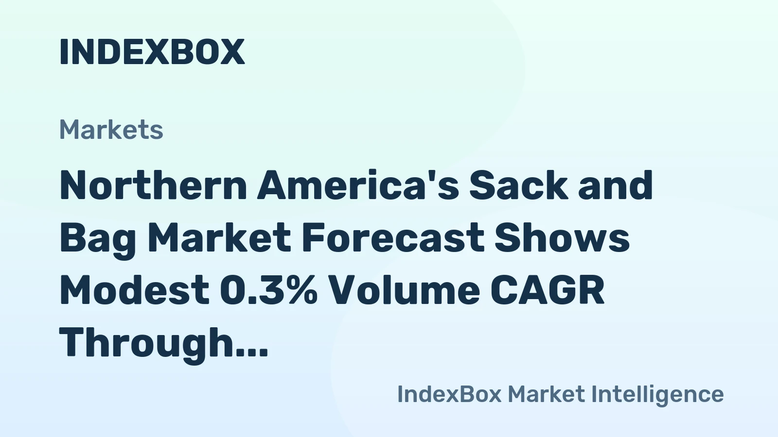 Northern America's Sack and Bag Market Forecast Shows Modest 0.3% Volume CAGR Through 2035
