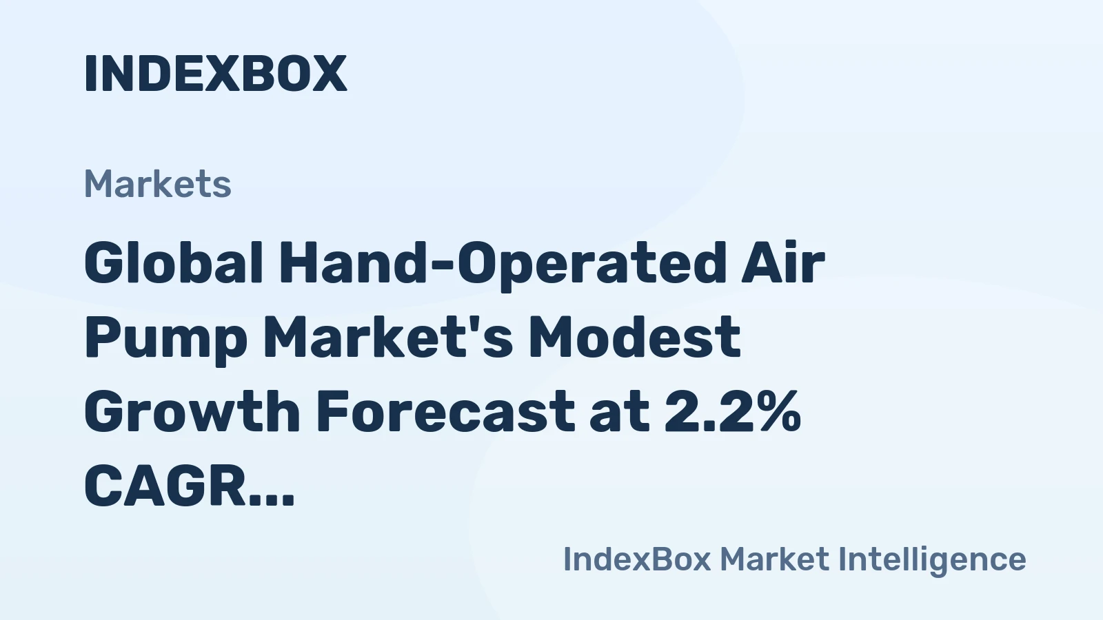 Global Hand-Operated Air Pump Market's Modest Growth Forecast at 2.2% CAGR