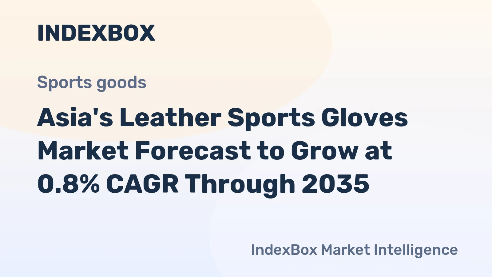 Asia's Leather Sports Gloves Market Forecast to Grow at 0.8% CAGR Through 2035