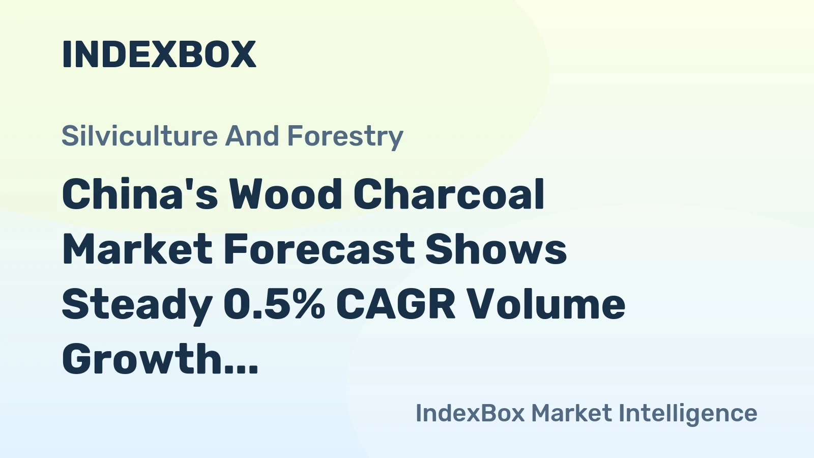 China's Wood Charcoal Market Forecast Shows Steady 0.5% CAGR Volume Growth Through 2035