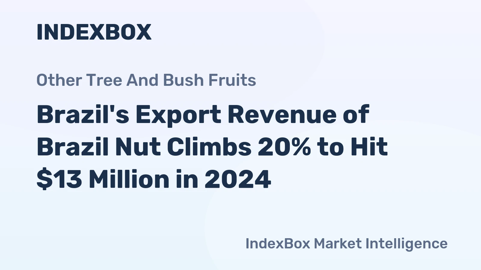 Brazil's Export Revenue of Brazil Nut Climbs 20% to Hit $13 Million in 2024