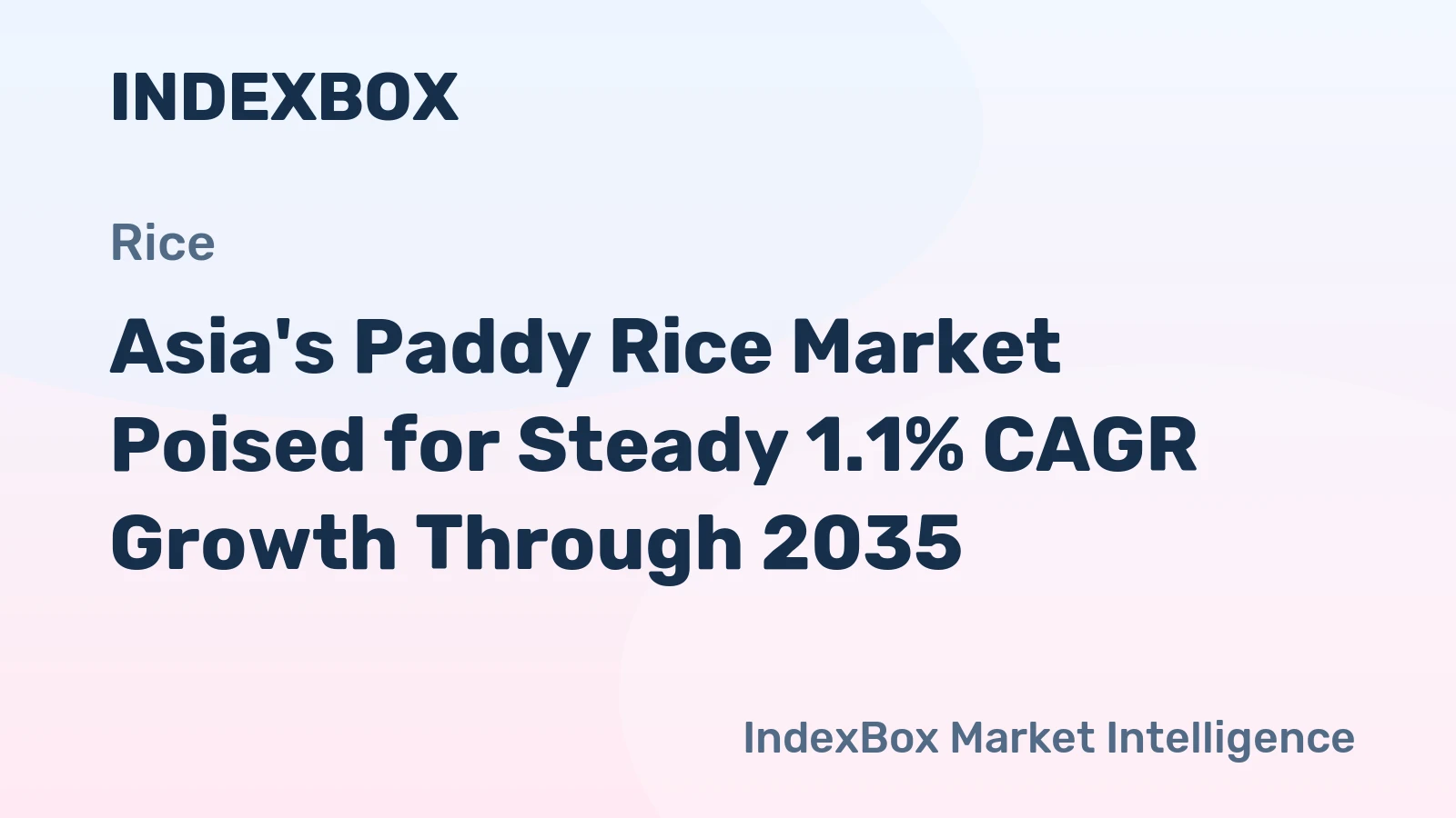Asia's Paddy Rice Market Poised for Steady 1.1% CAGR Growth Through 2035