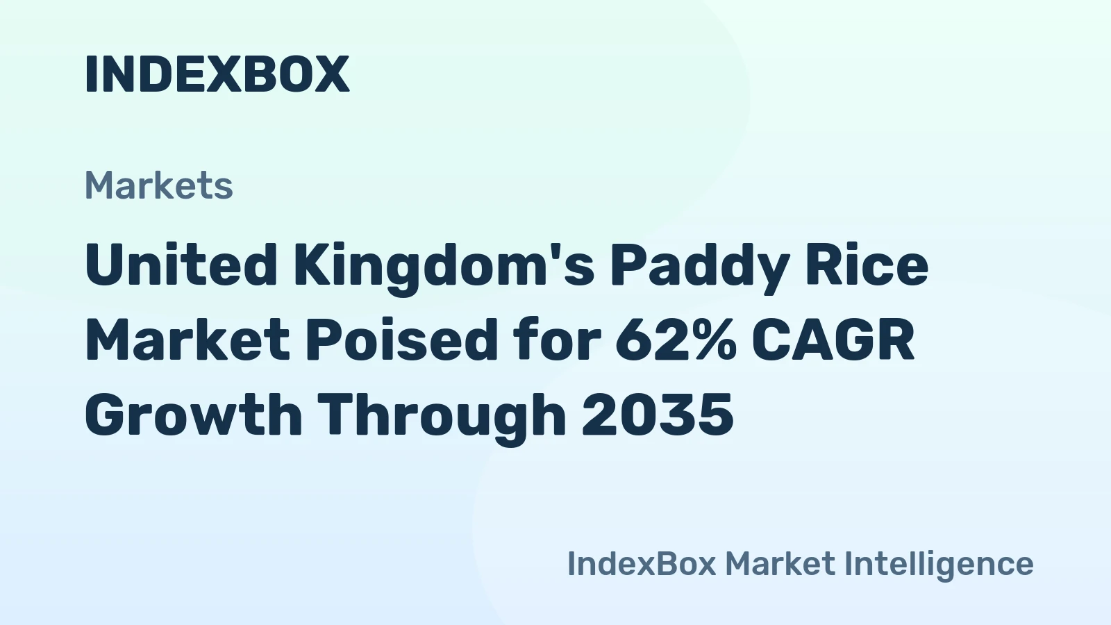 United Kingdom's Paddy Rice Market Poised for 62% CAGR Growth Through 2035