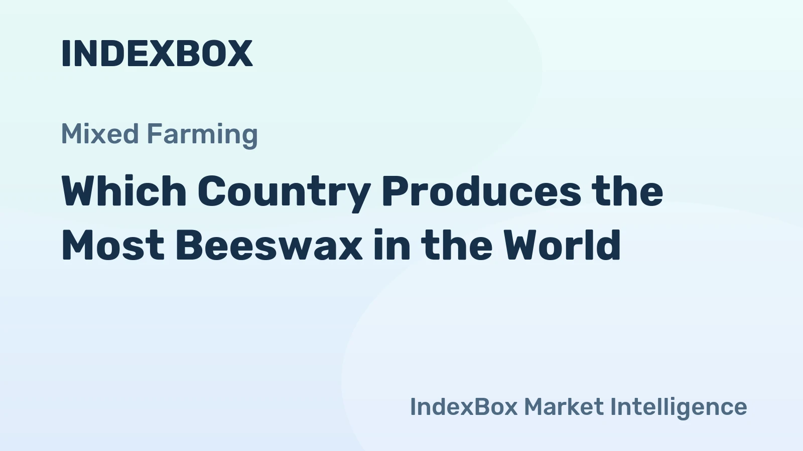 Which Country Produces the Most Beeswax in the World?