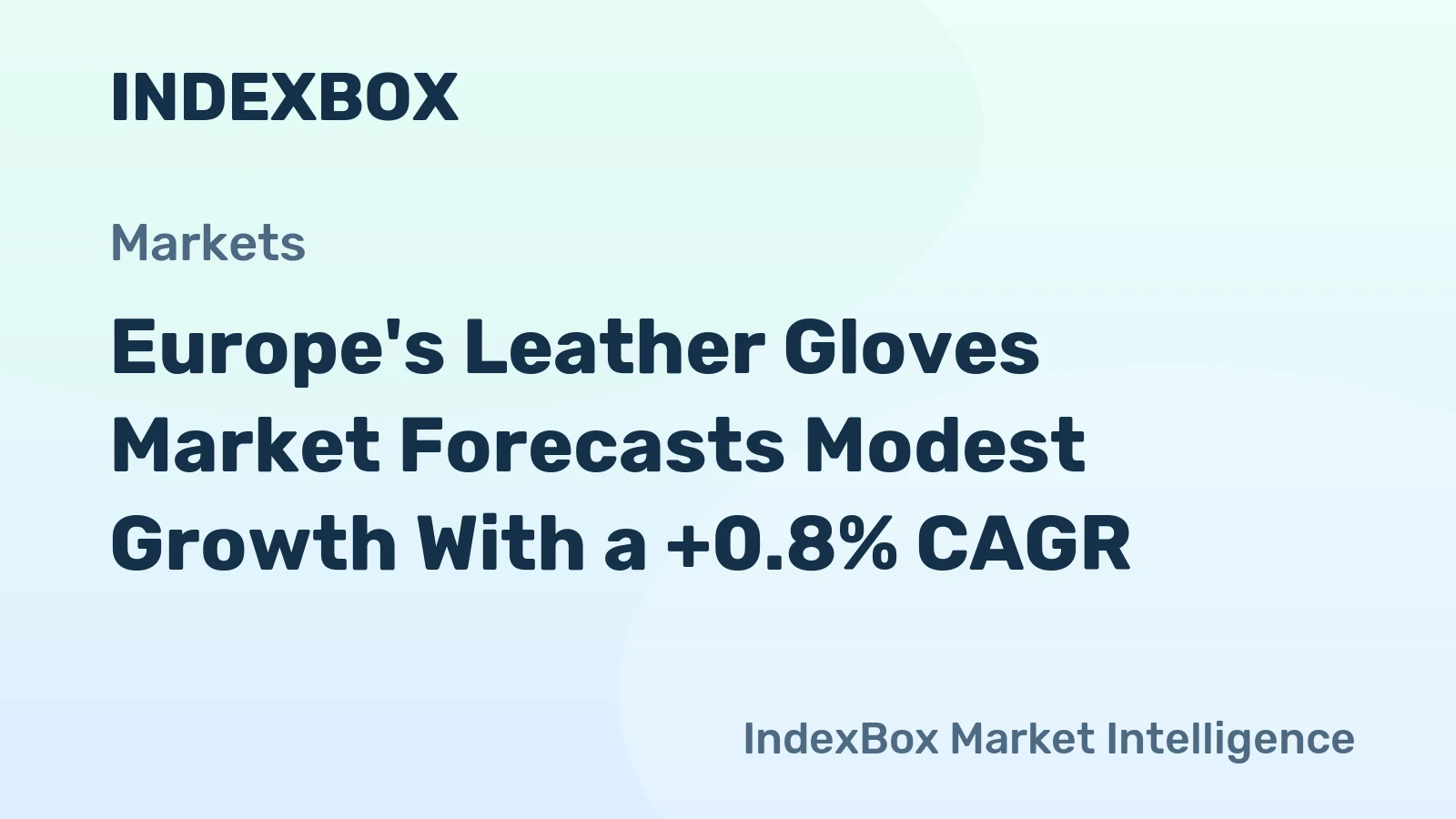 Europe's Leather Gloves Market Forecasts Modest Growth With a +0.8% CAGR