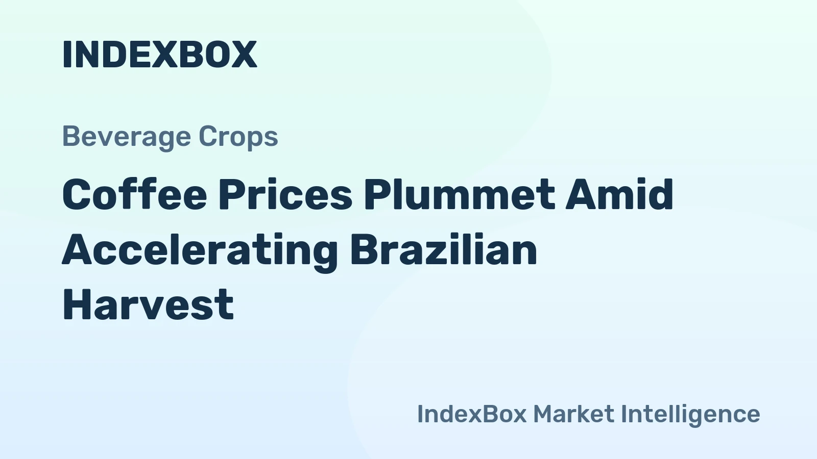 Coffee Prices Plummet Amid Accelerating Brazilian Harvest