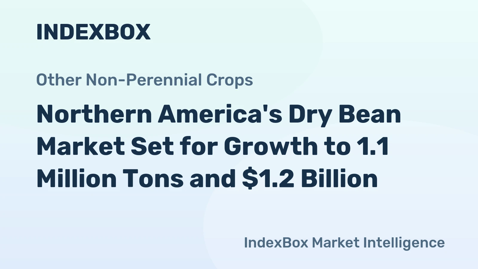 Northern America's Dry Bean Market Set for Growth to 1.1 Million Tons and $1.2 Billion