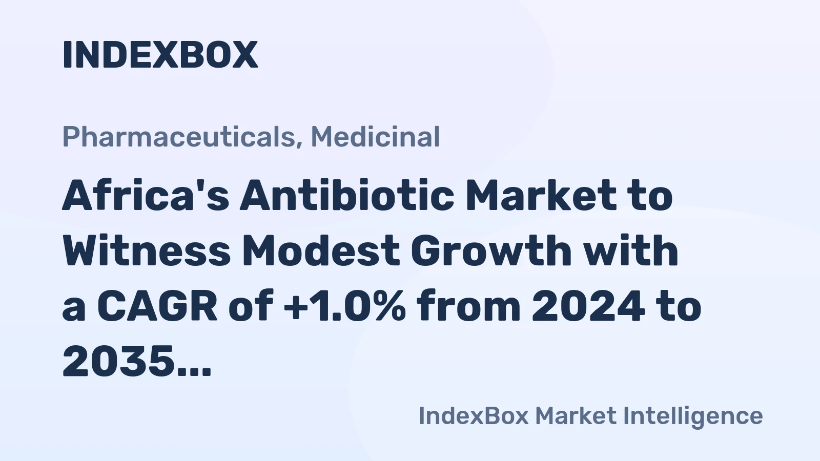 Africa's Antibiotic Market to Witness Modest Growth with a CAGR of +1.0% from 2024 to 2035, Reaching 13K Tons