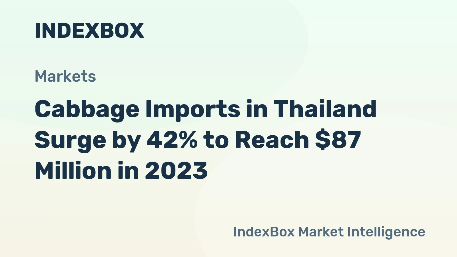 Cabbage Imports in Thailand Surge by 42% to Reach $87 Million in 2023