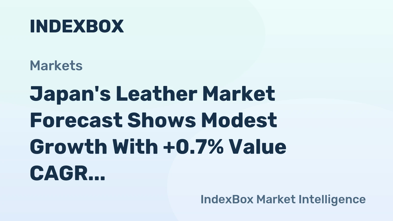 Japan's Leather Market Forecast Shows Modest Growth With +0.7% Value CAGR