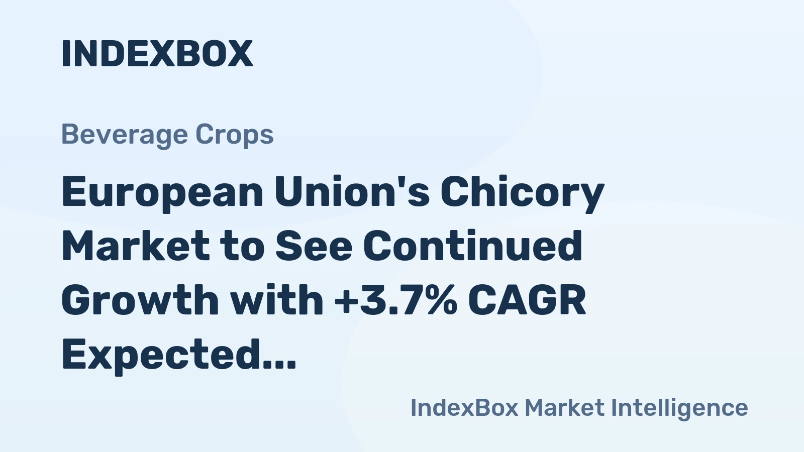 European Union's Chicory Market to See Continued Growth with +3.7% CAGR Expected