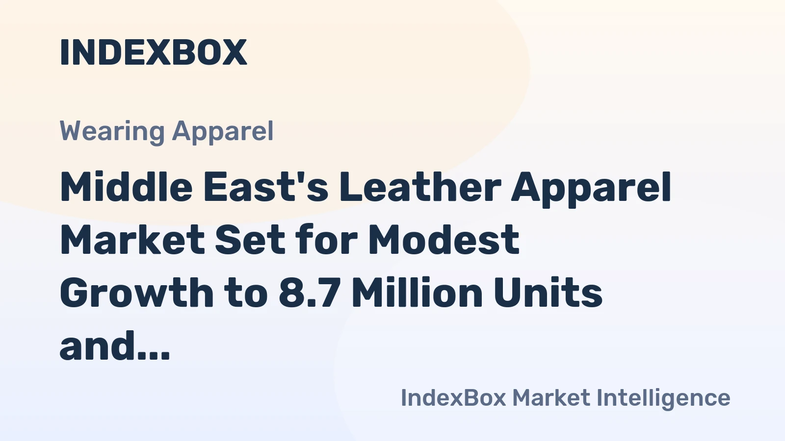 Middle East's Leather Apparel Market Set for Modest Growth to 8.7 Million Units and $668 Million