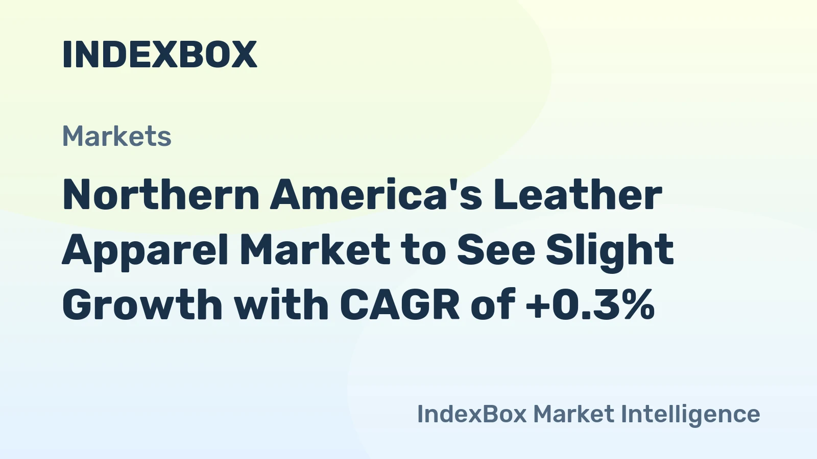 Northern America's Leather Apparel Market to See Slight Growth with CAGR of +0.3%