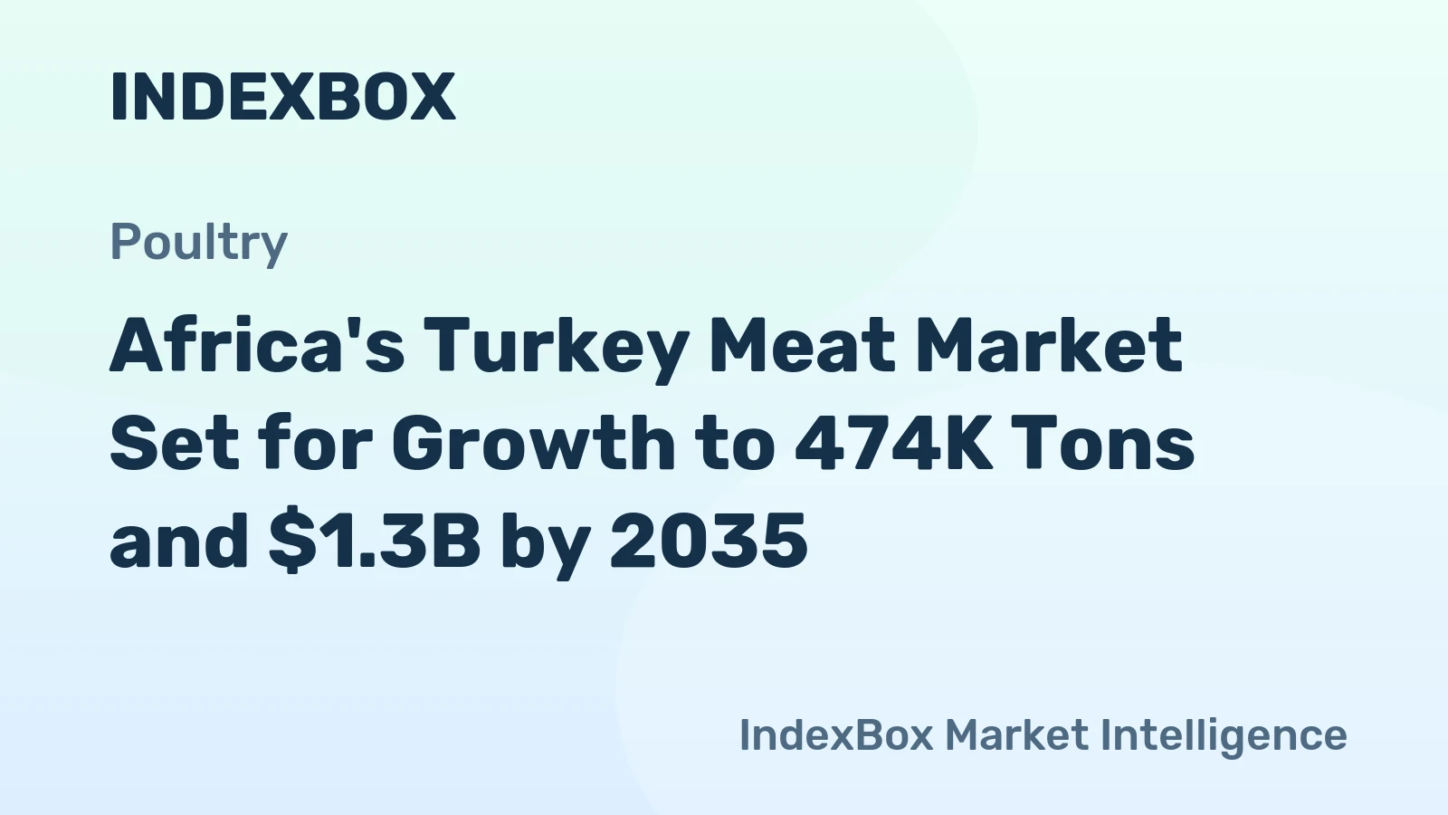 Africa's Turkey Meat Market Set for Growth to 474K Tons and $1.3B by 2035