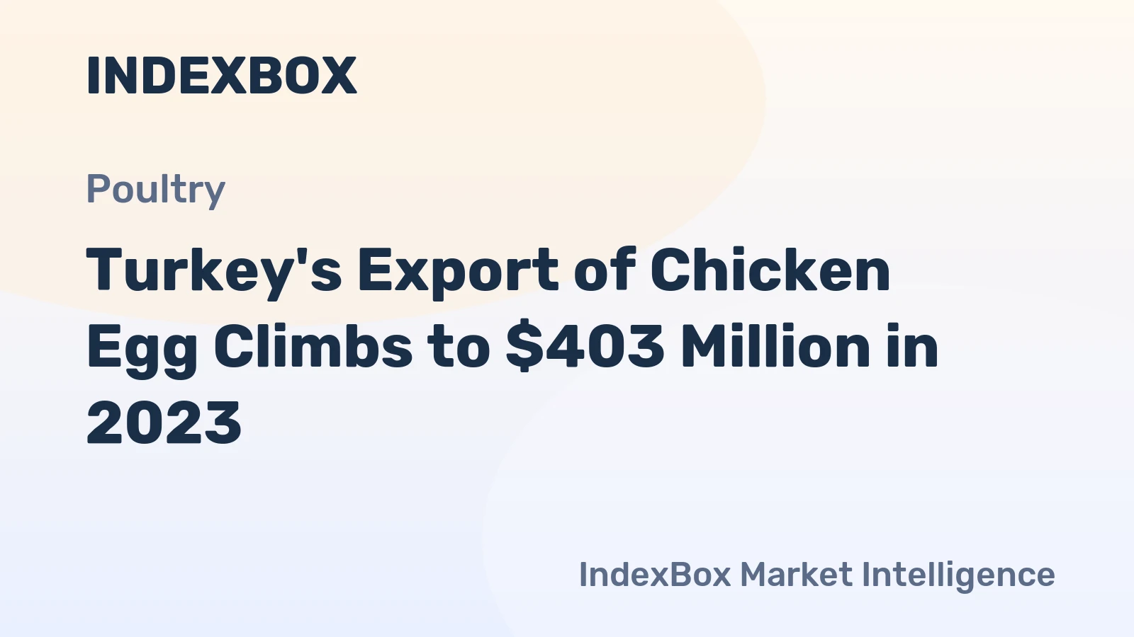 Turkey's Export of Chicken Egg Climbs to $403 Million in 2023