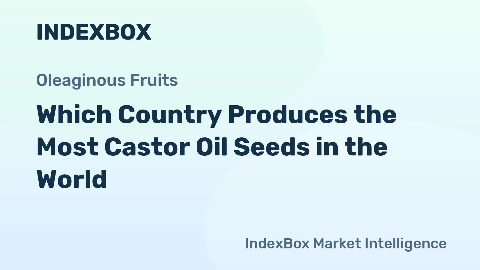 Which Country Produces the Most Castor Oil Seeds in the World?