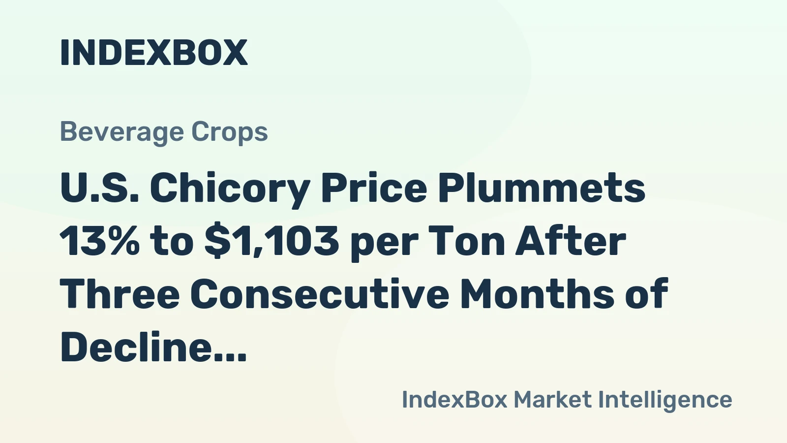 U.S. Chicory Price Plummets 13% to $1,103 per Ton After Three Consecutive Months of Decline