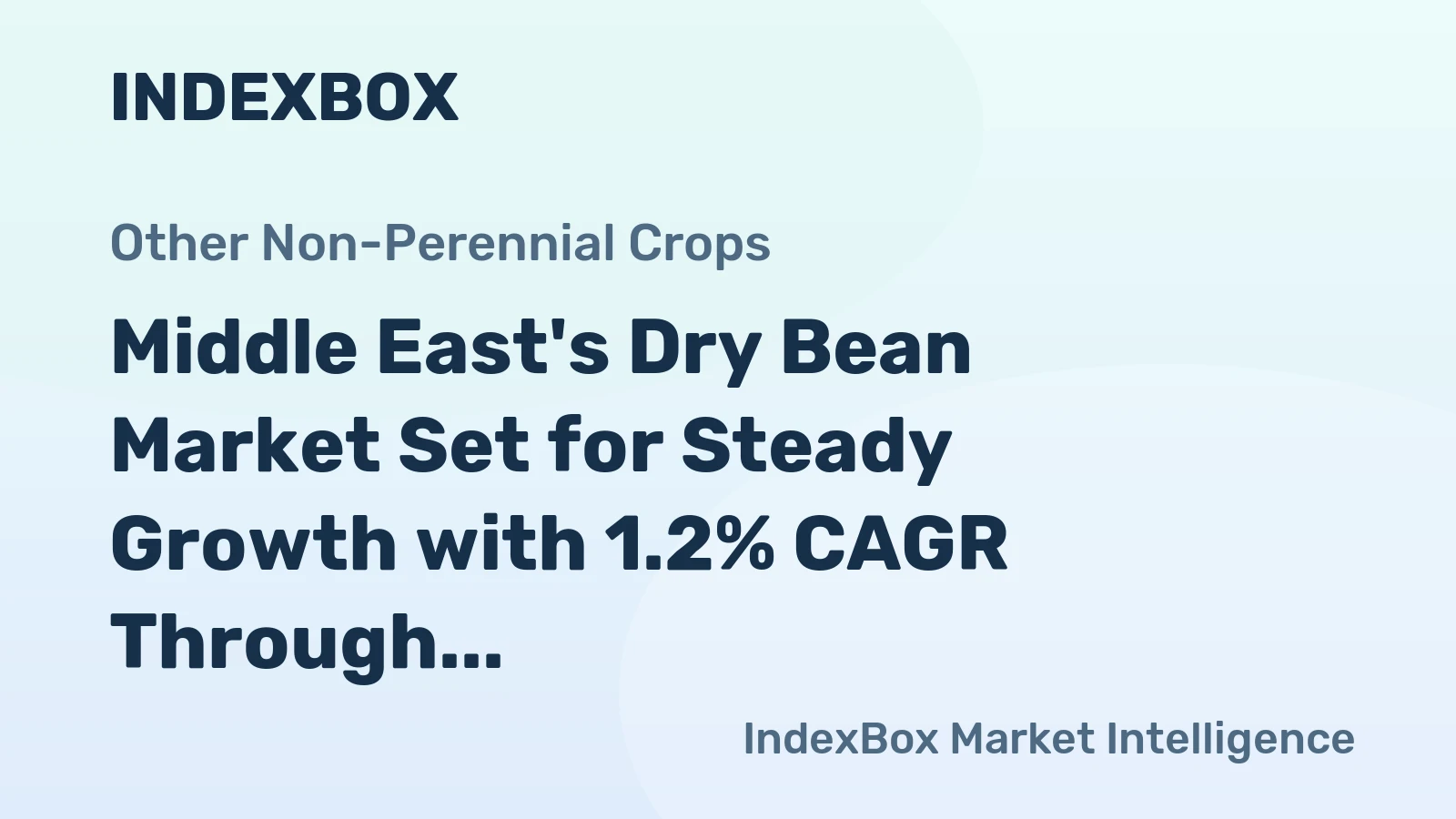 Middle East's Dry Bean Market Set for Steady Growth with 1.2% CAGR Through 2035