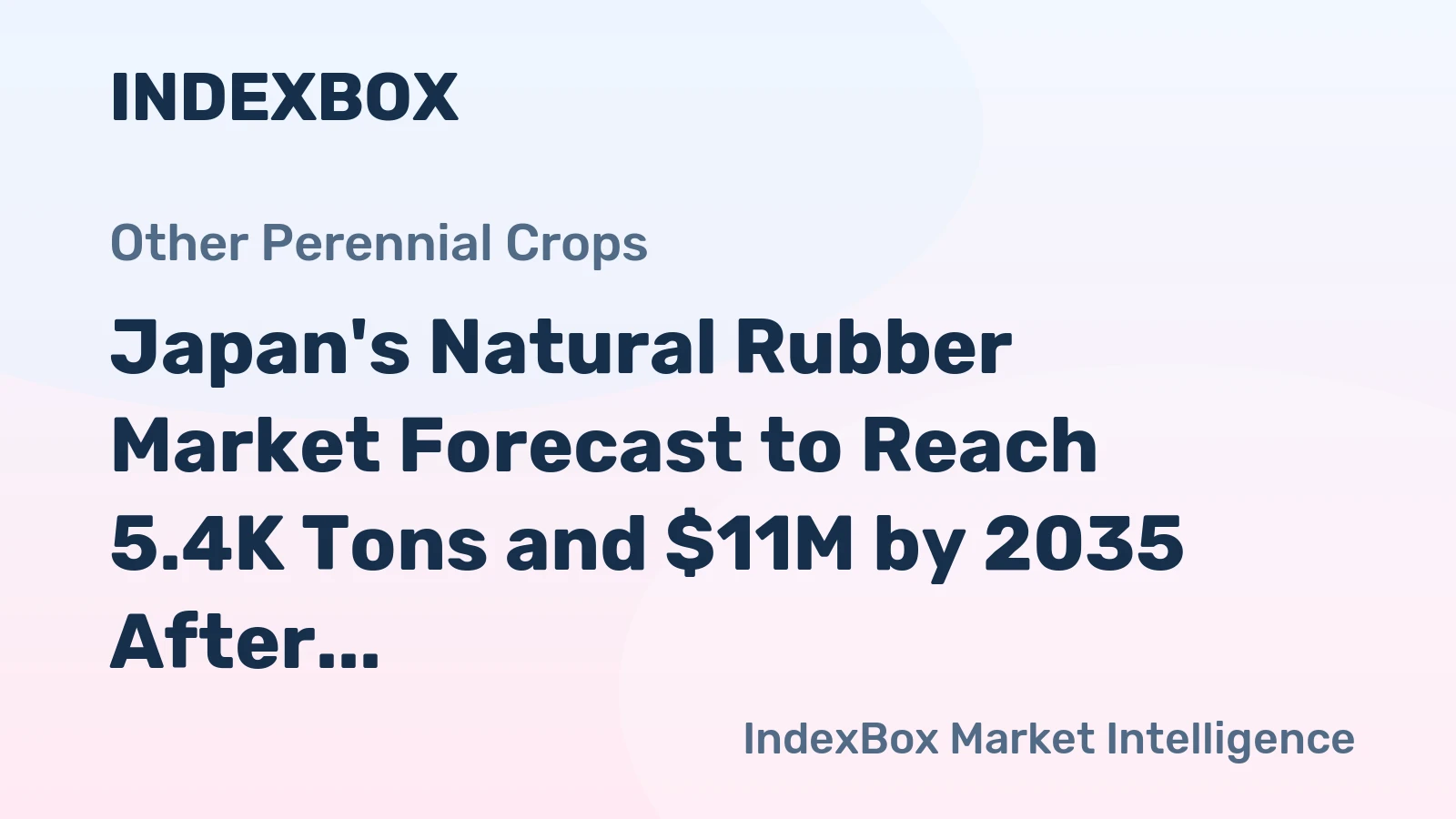 Japan's Natural Rubber Market Forecast to Reach 5.4K Tons and $11M by 2035 After 2024 Rebound