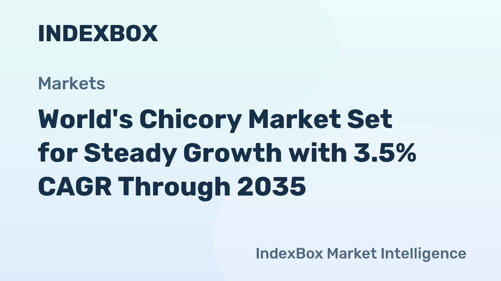 World's Chicory Market Set for Steady Growth with 3.5% CAGR Through 2035
