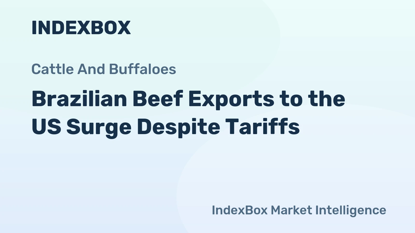 Brazilian Beef Exports to the US Surge Despite Tariffs