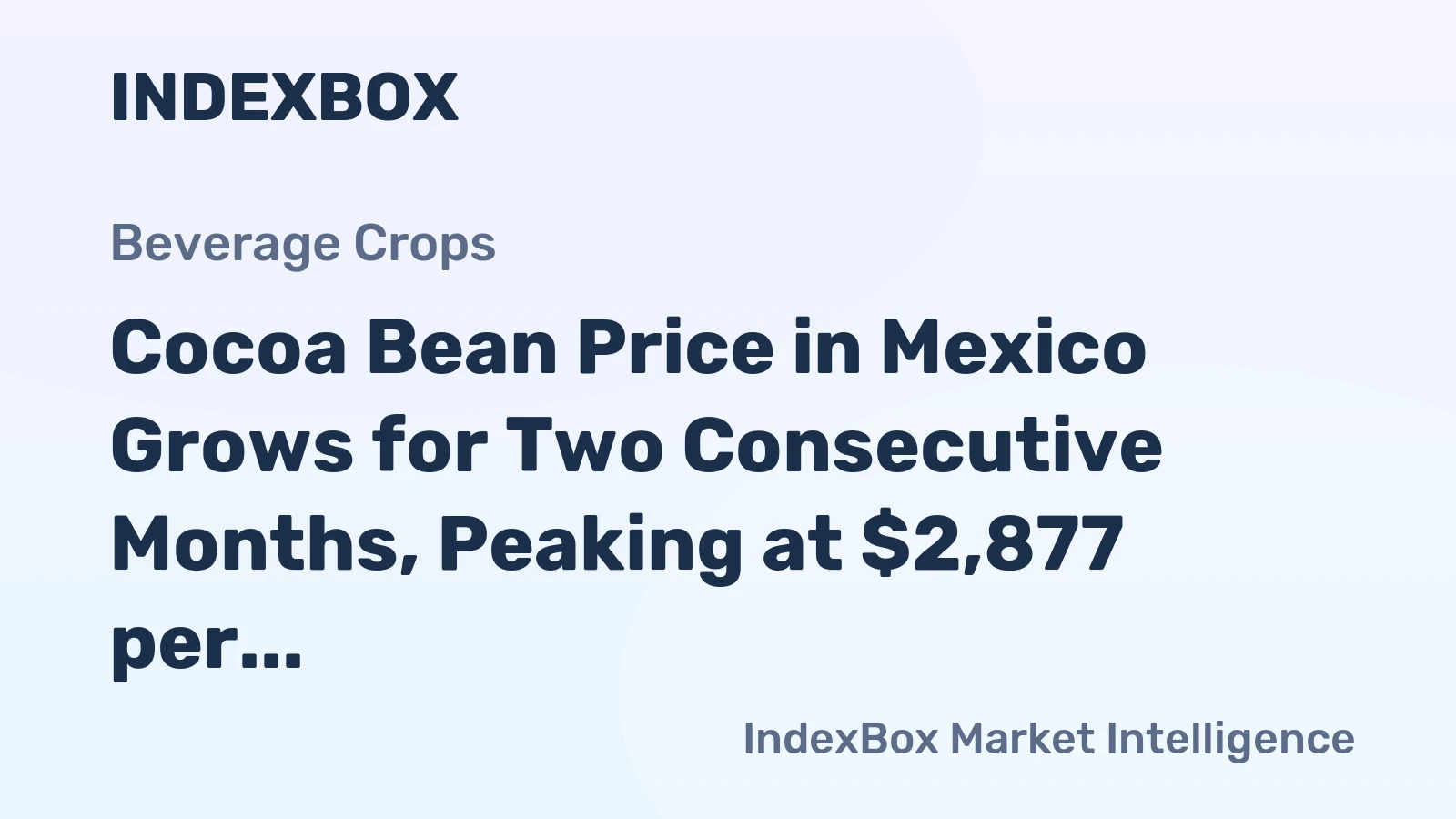 Cocoa Bean Price in Mexico Grows for Two Consecutive Months, Peaking at $2,877 per Ton