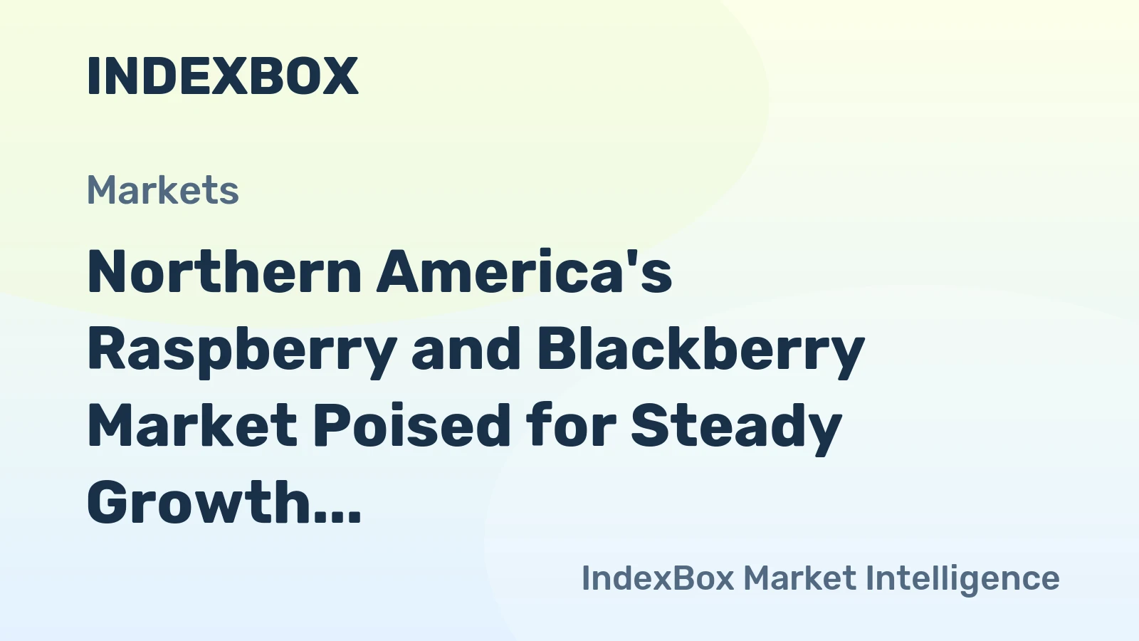 Northern America's Raspberry and Blackberry Market Poised for Steady Growth with 3.5% CAGR
