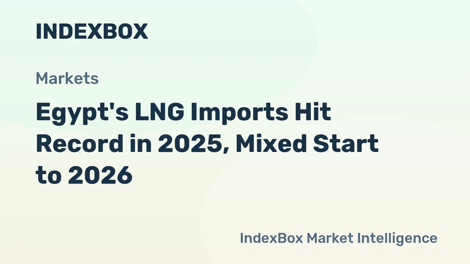 Egypt's LNG Imports Hit Record in 2025, Mixed Start to 2026