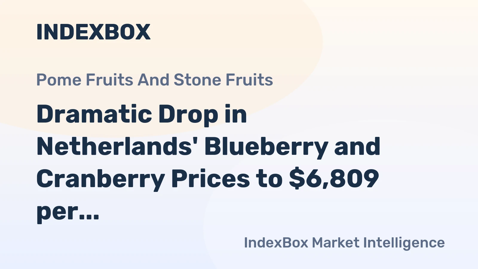 Dramatic Drop in Netherlands' Blueberry and Cranberry Prices to $6,809 per Ton