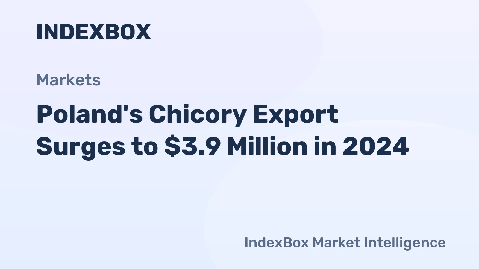 Poland's Chicory Export Surges to $3.9 Million in 2024