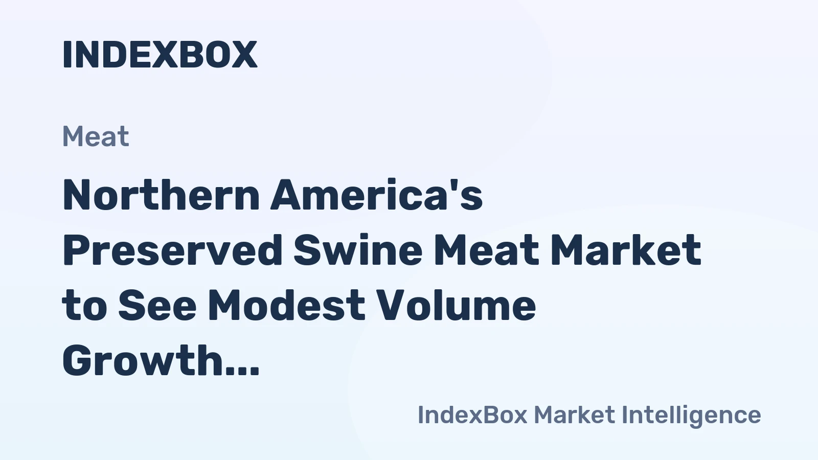 Northern America's Preserved Swine Meat Market to See Modest Volume Growth and Stronger Value Expansion at a 1.2% CAGR